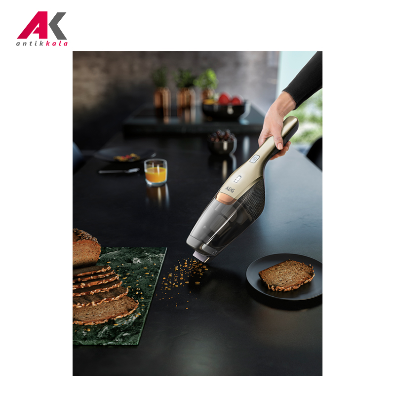 جاروشارژی آاگ مدل AEG QX8-1-45SM – آنتیک کالا