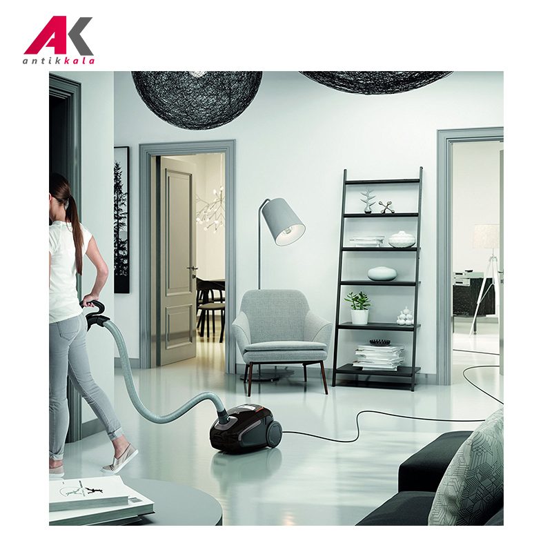 جاروبرقی آاگ مدل AEG VX9-1-CB-P | آنتیک کالا